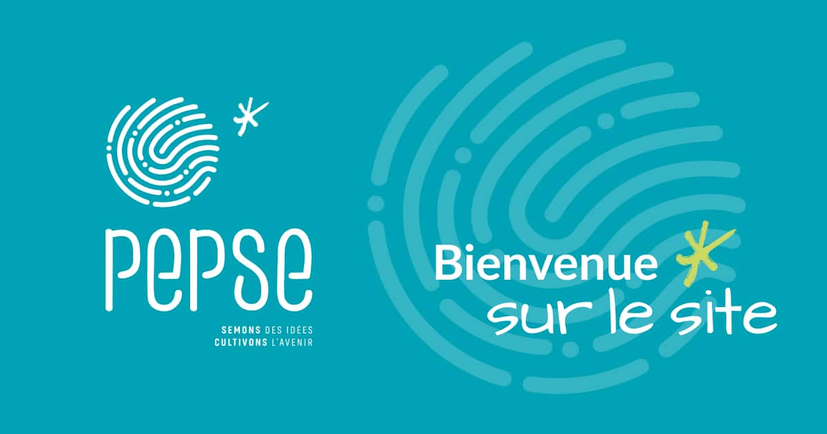 PepSE : La Pépinière des Solidarités Étudiantes à Brest